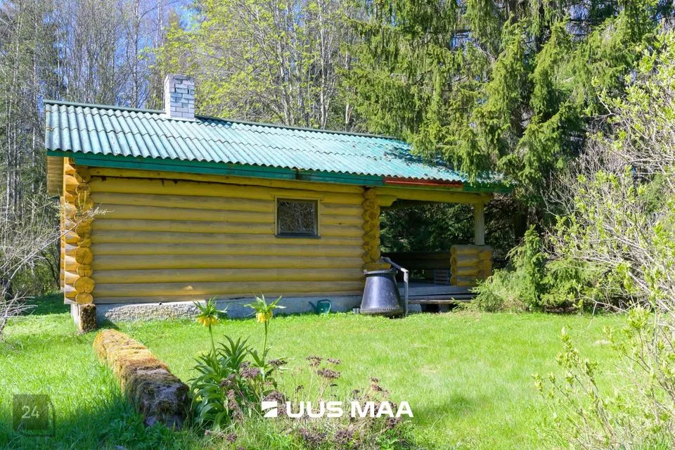 Müüa suvila, Lingi, Mõndavere küla, Kadrina vald