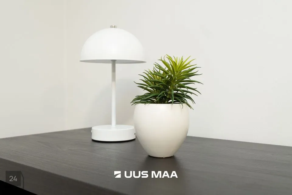 Müüa korter, 2 tuba, Endla tn 29, Uue Maailma, Kesklinn, Tallinn
