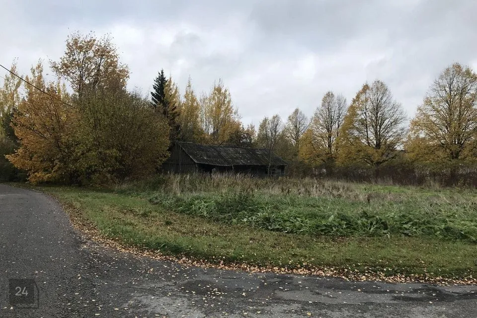 Müüa maa, Orava tee, Jõesuu küla, Tori vald